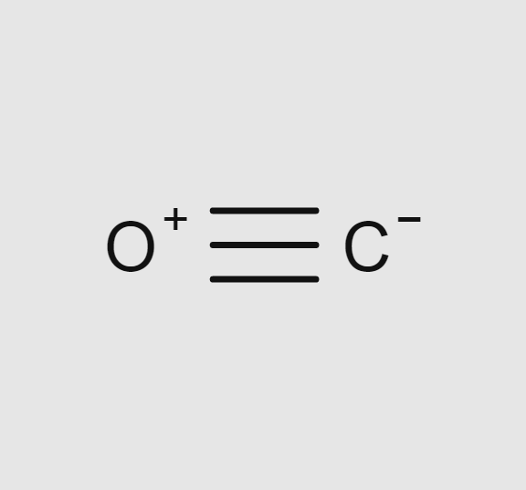 Carbon monoxide detector : CO sensor and presentation | Teledyne GFD